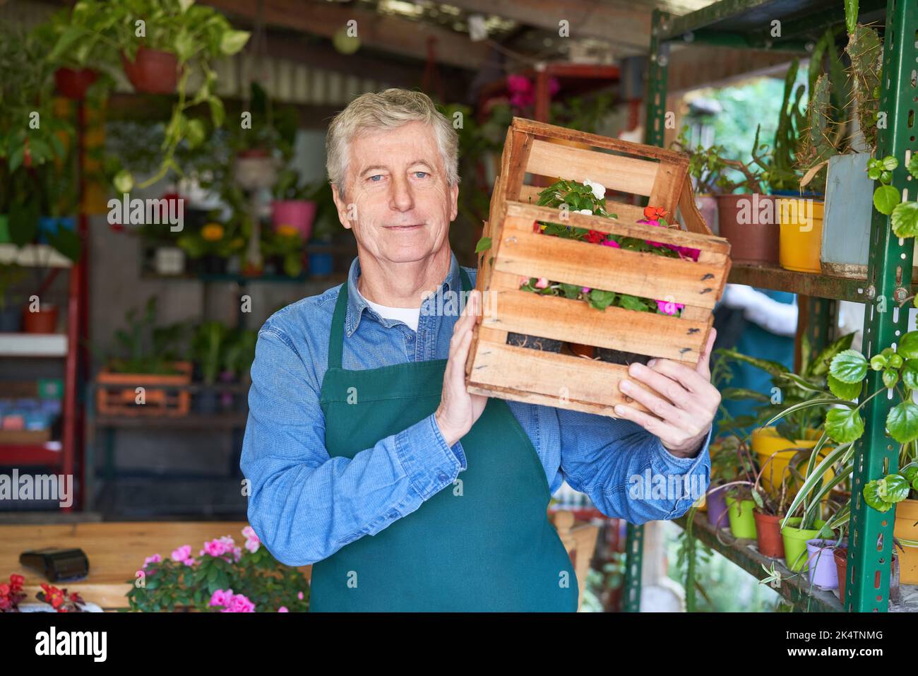Senior boss in his nursery with a box of flowers on his shoulder for ...