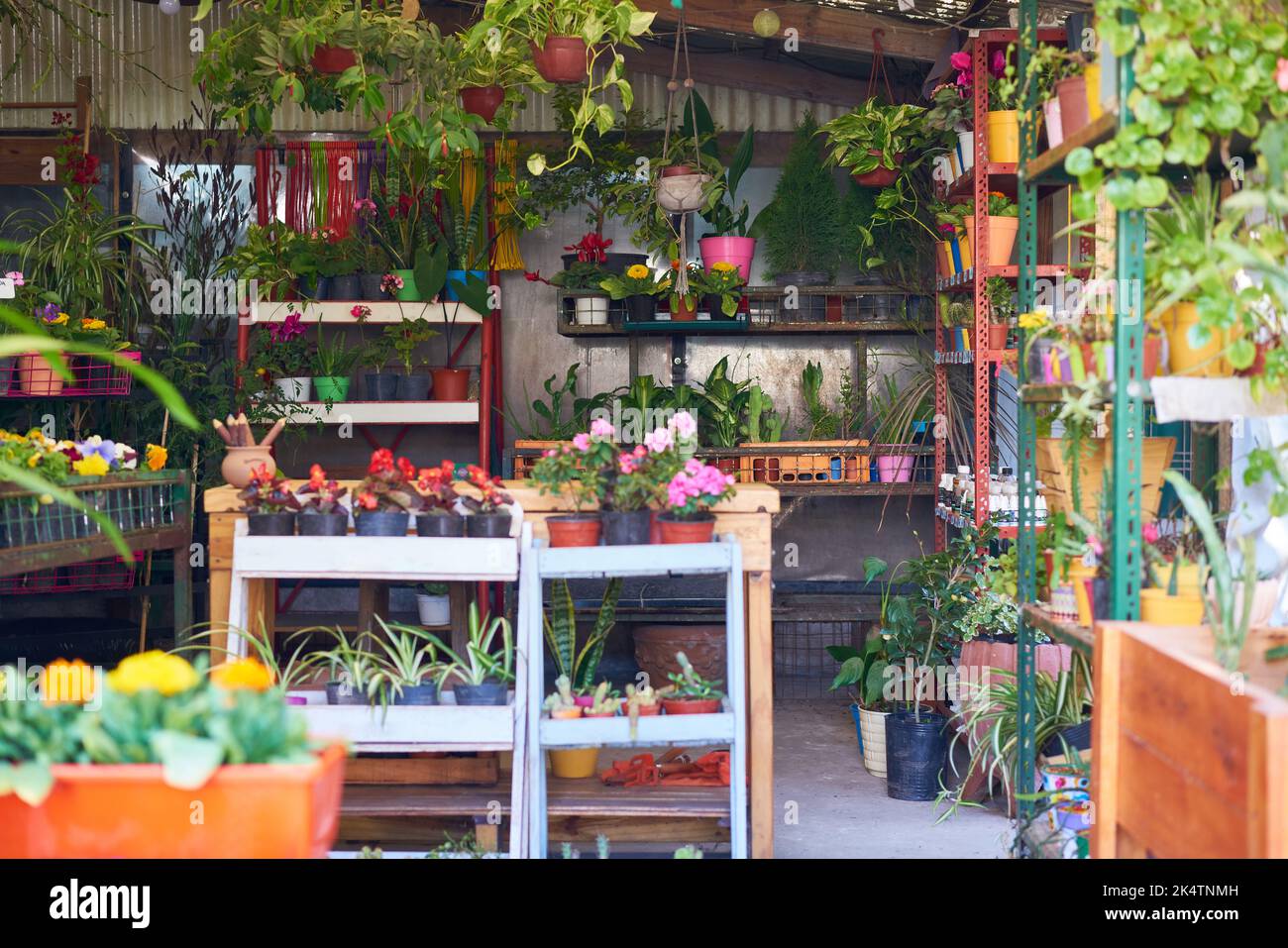 Diverse range of plants hi-res stock photography and images - Alamy