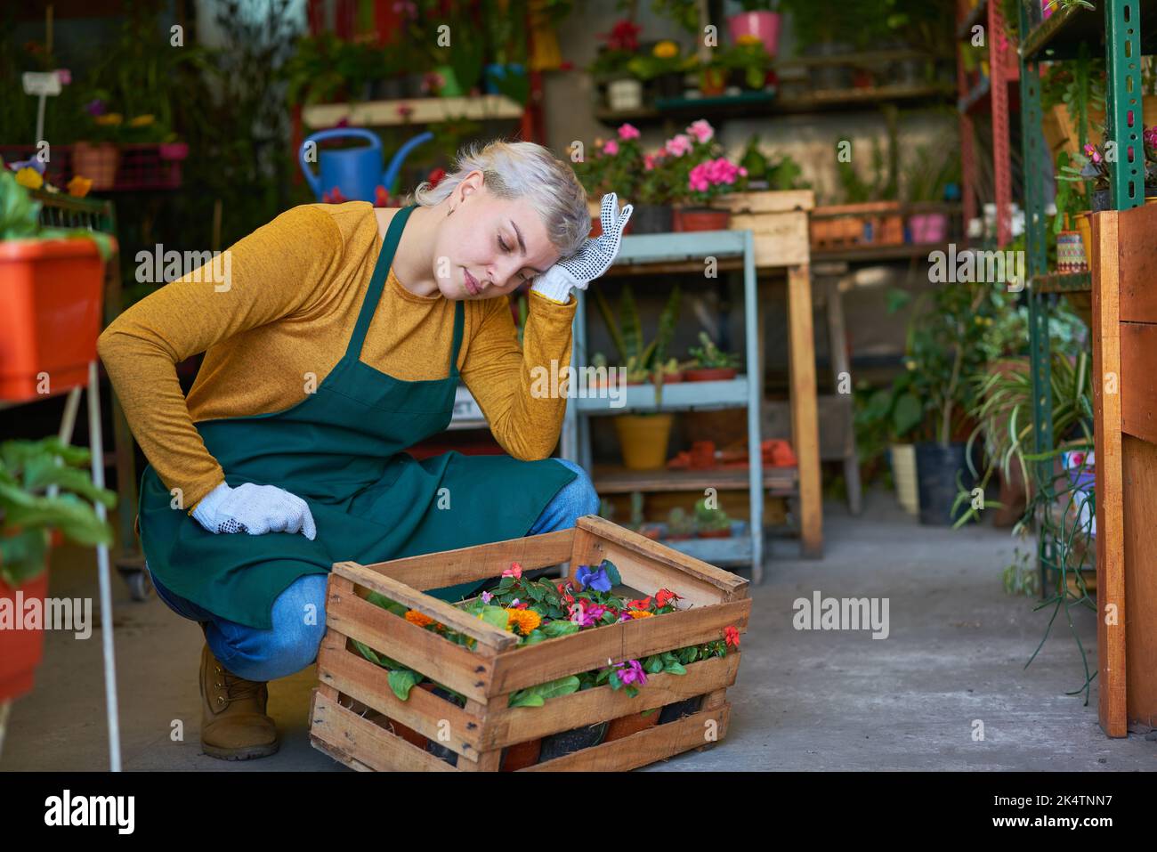Exhausted young woman gardener in nursery with box of plants exhausted ...