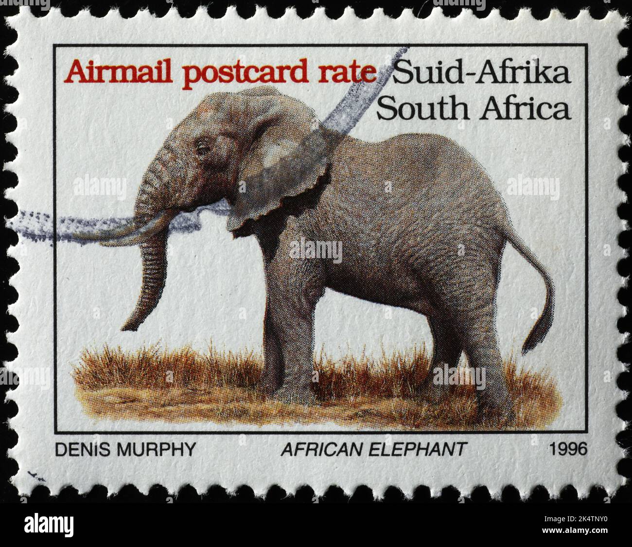 Elephant on South African stamp Stock Photo - Alamy