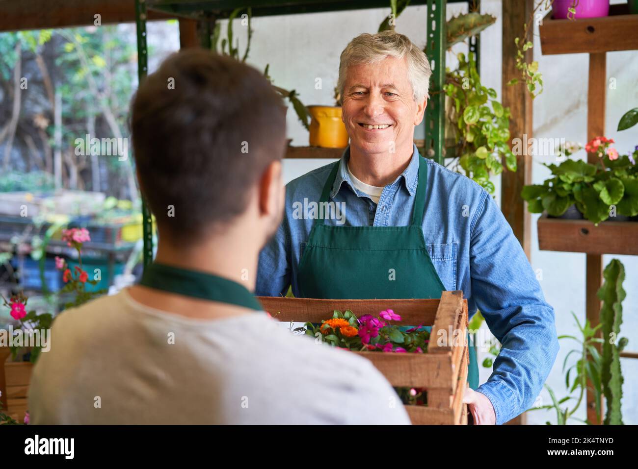 The apprentice shop hi-res stock photography and images - Alamy