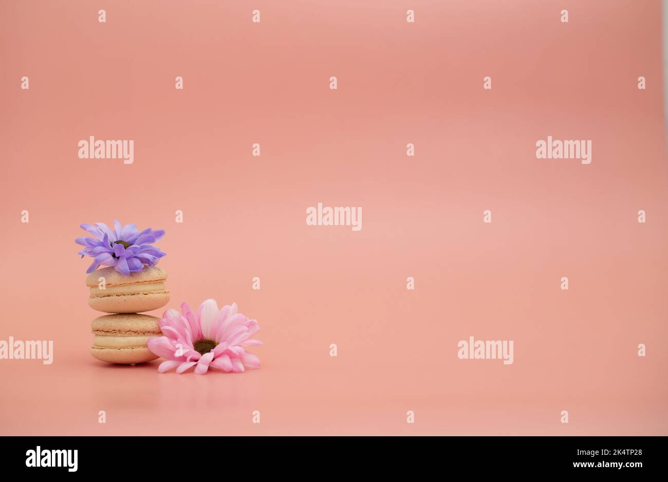 Round beautiful sweets macaroni with flowers on a pink background ...
