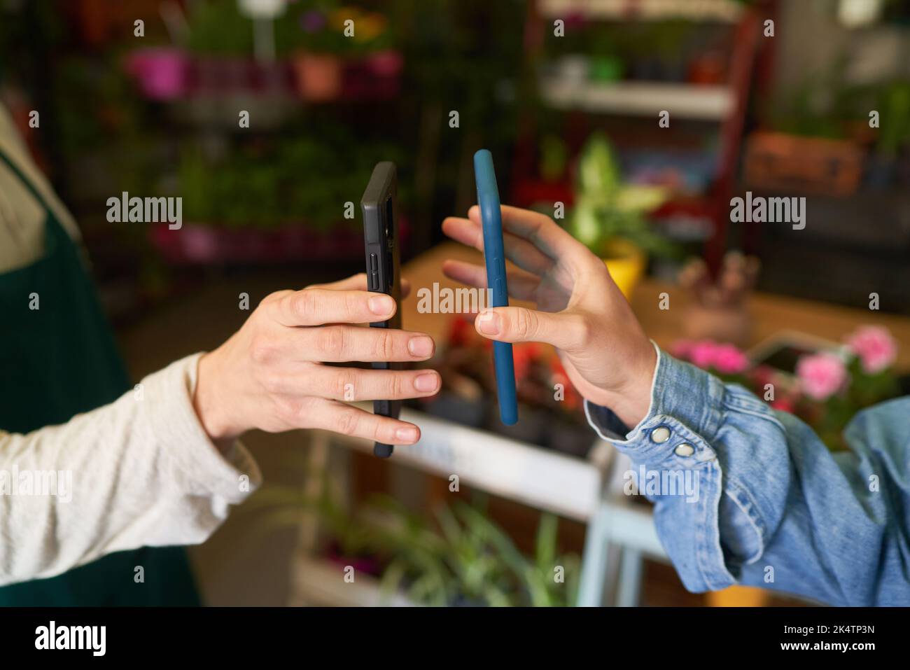 Hands hold two smartphones close to each other for contactless data ...
