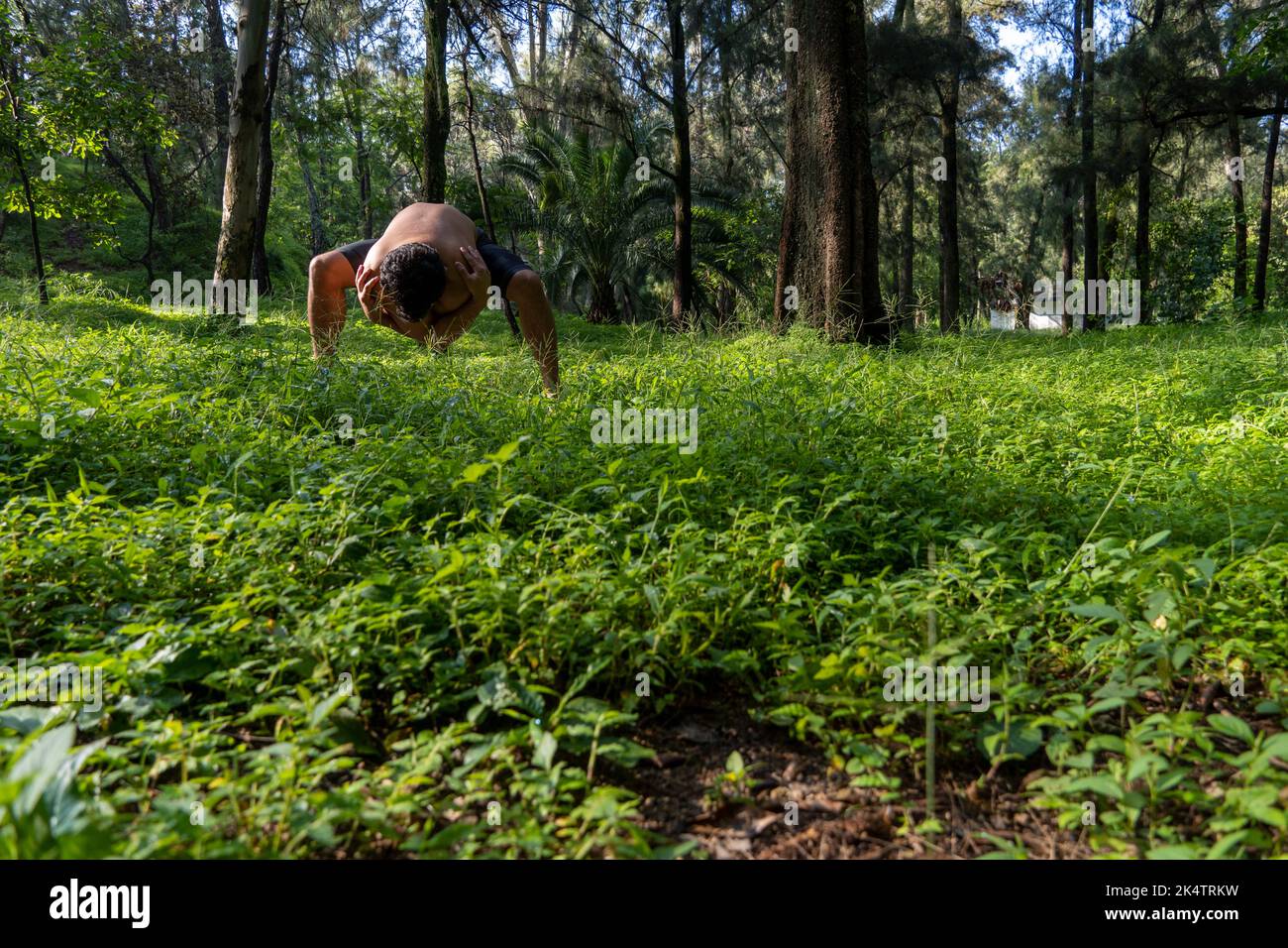 hispanic and latin man, meditating in the middle of a forest, receiving ...