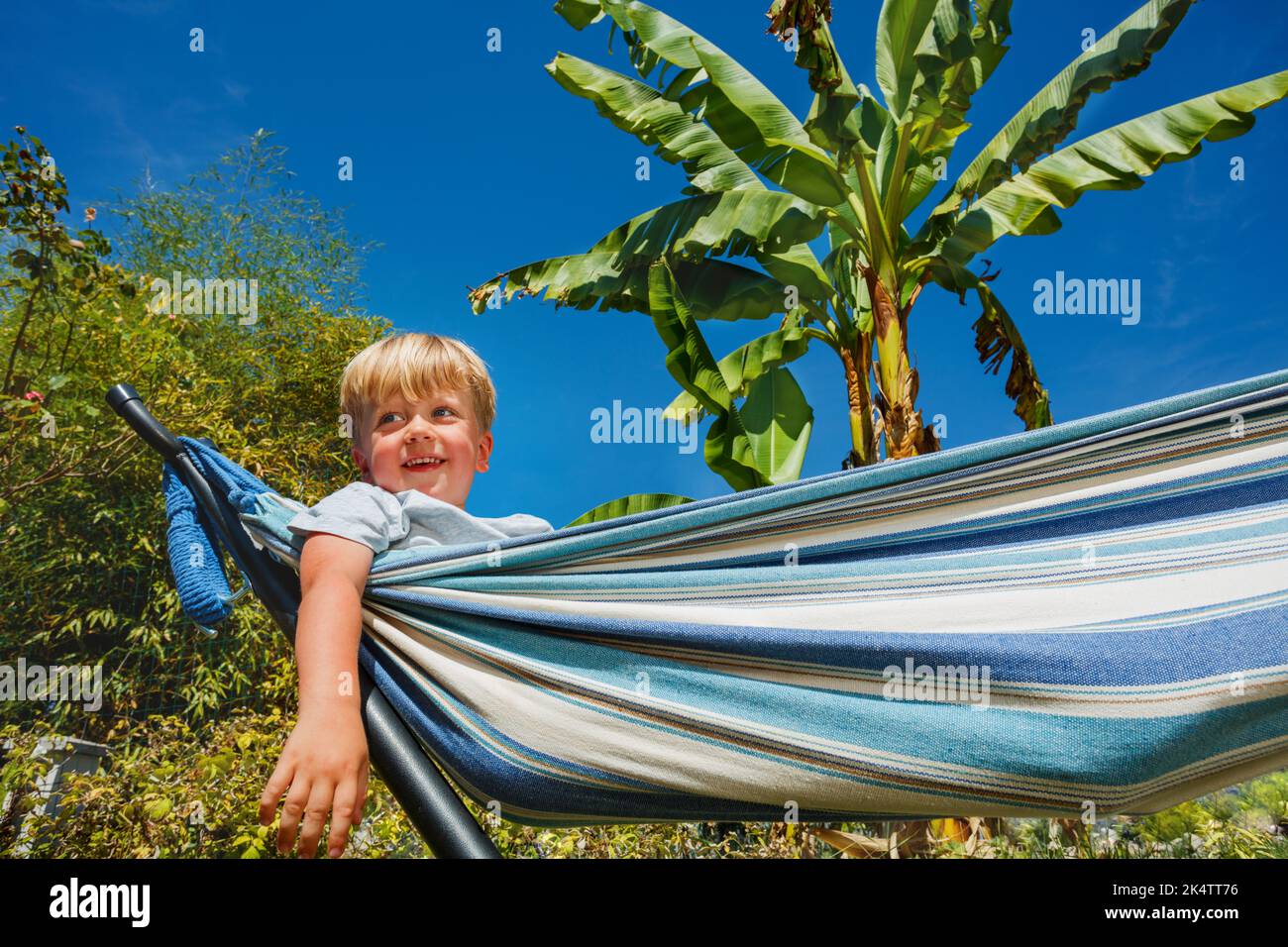 Blond little boy rest in hammock at the garden Stock Photo - Alamy