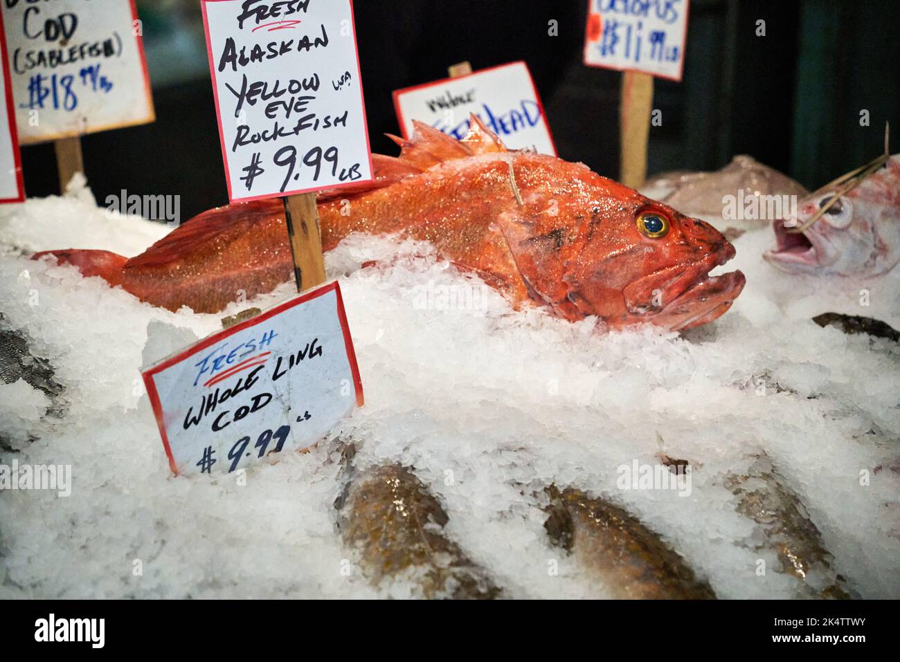 A Pikes Place Seattle's fish market with fresh fish displayed Stock ...