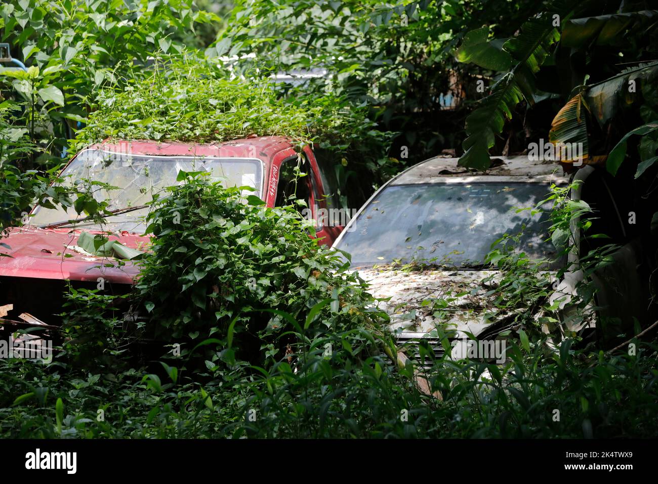 Dhaka, Bangladesh - October 04, 2022: Impounded vehicles have been left ...