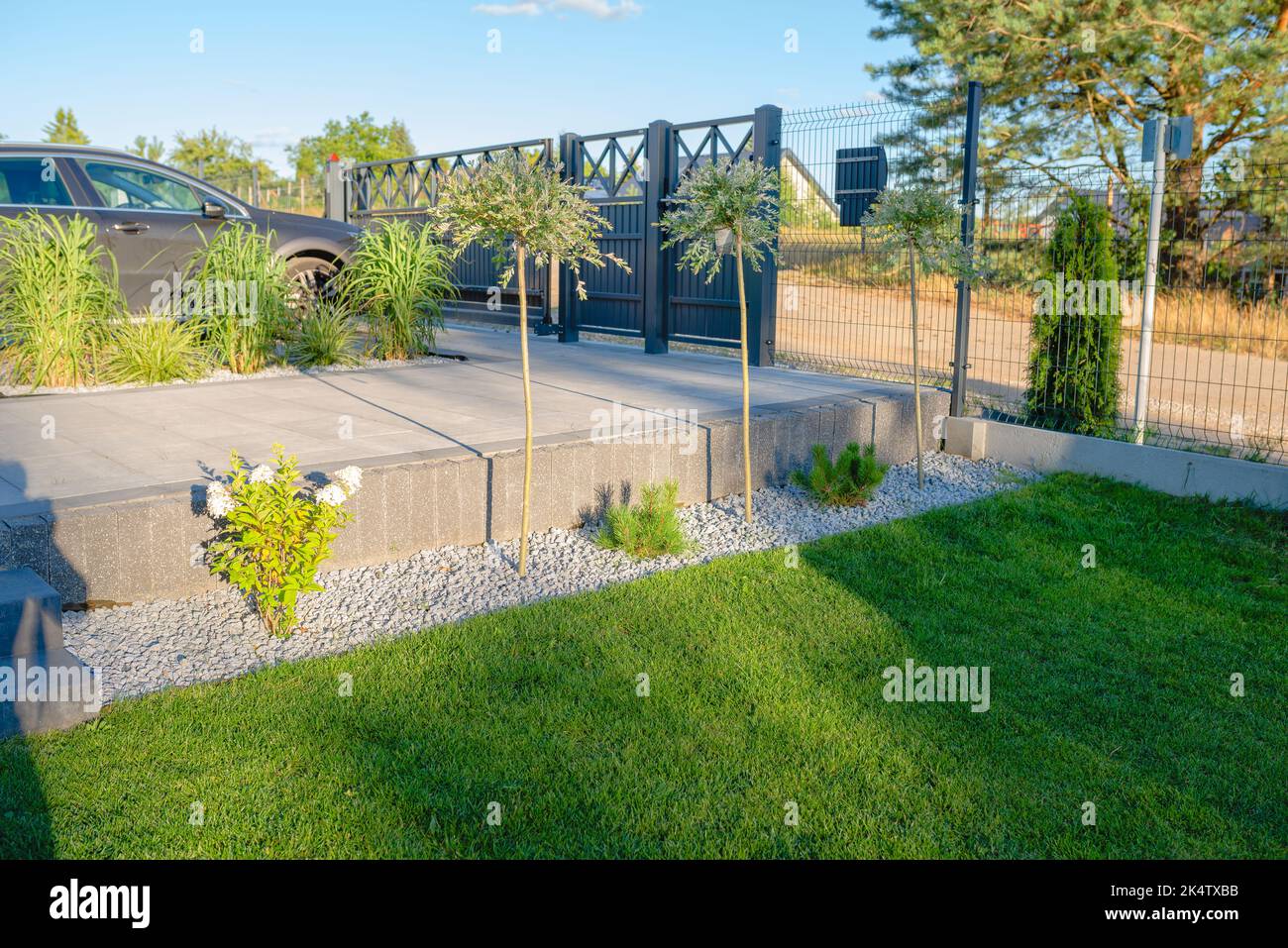 gardening, thuja planting Stock Photo - Alamy