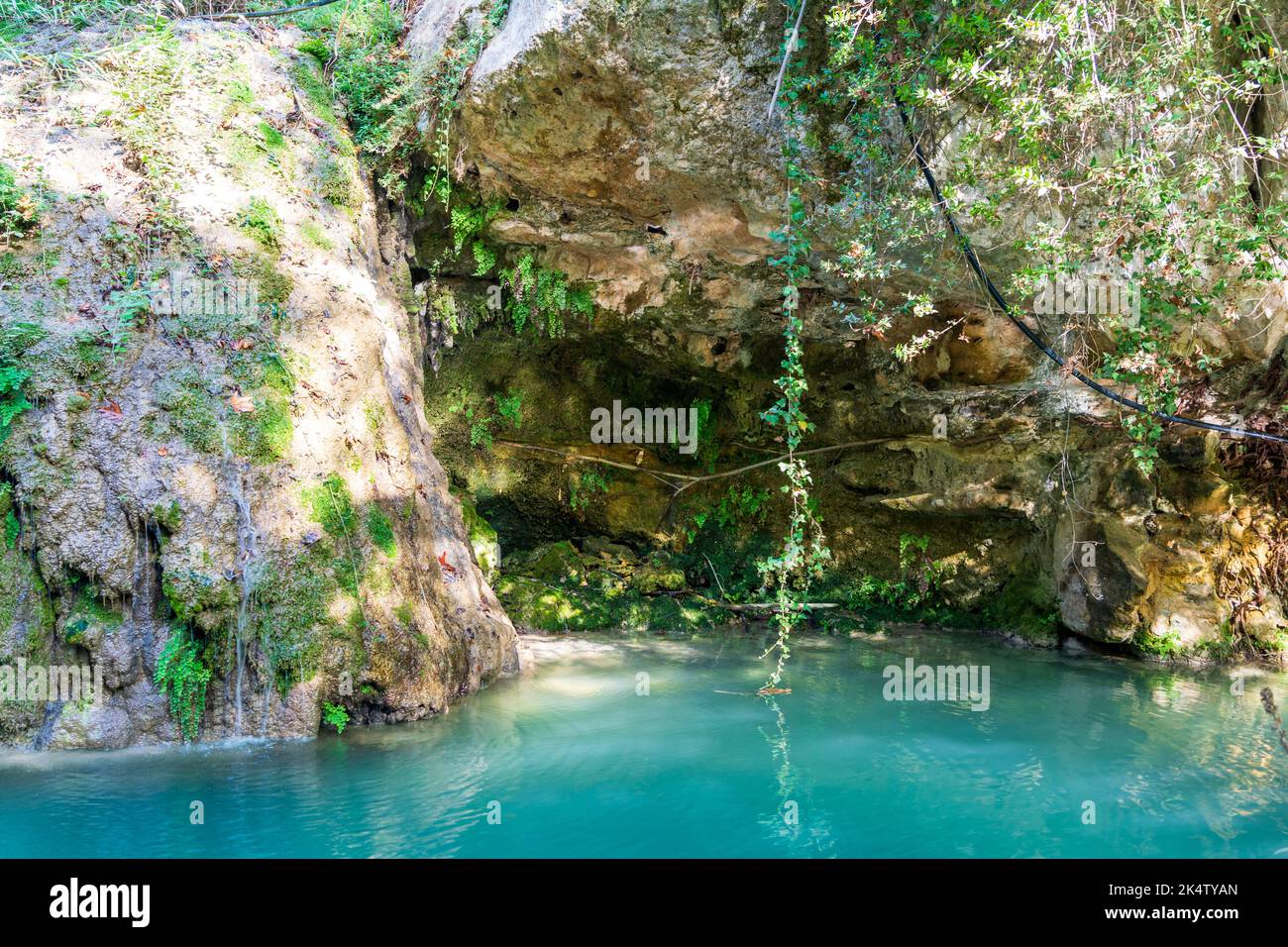 Tropical pond with a small waterfall and copy space Stock Photo - Alamy