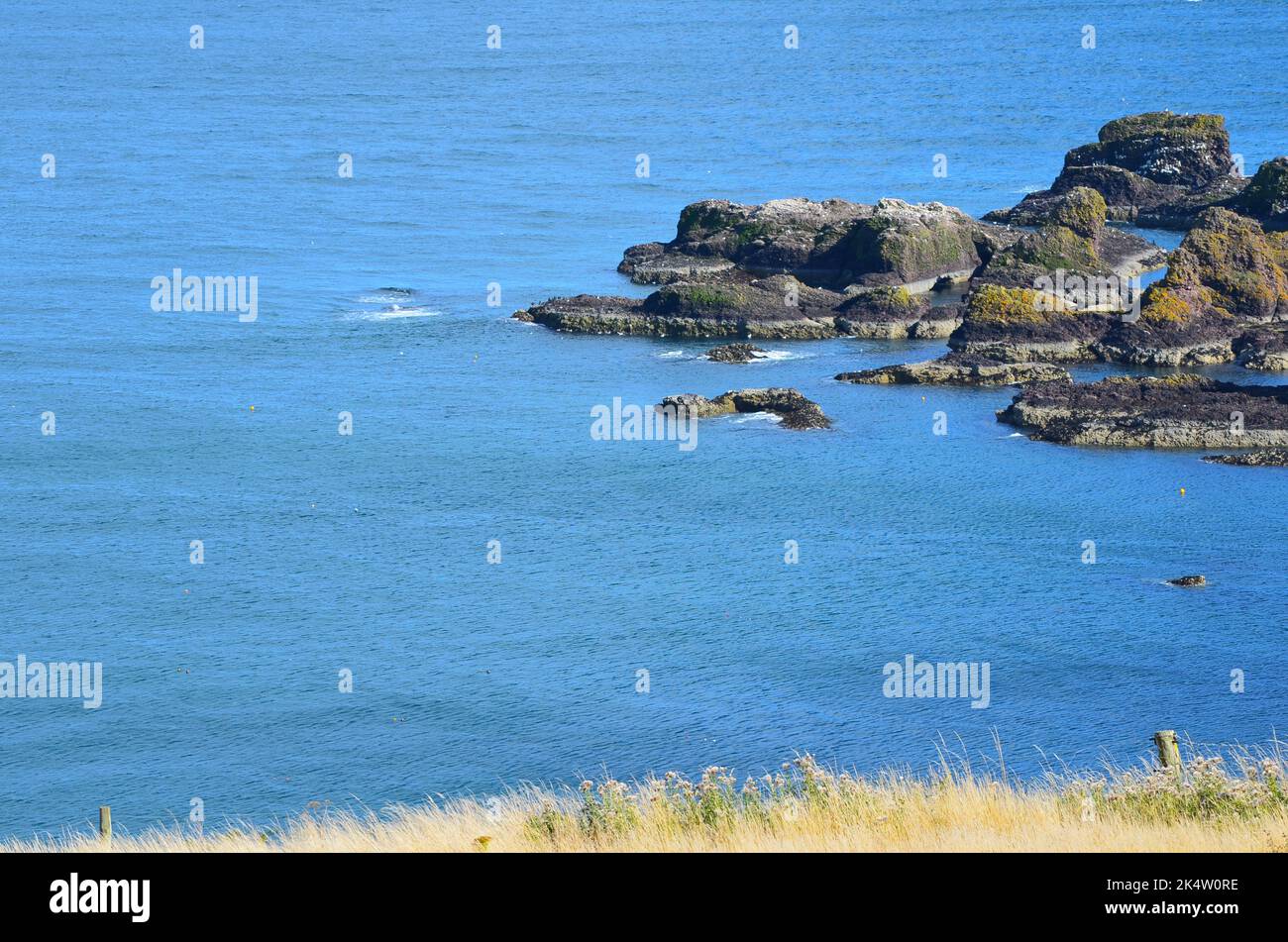 Sea cliffs along the coastal path for Dunottar Castle, Stonehaven ...
