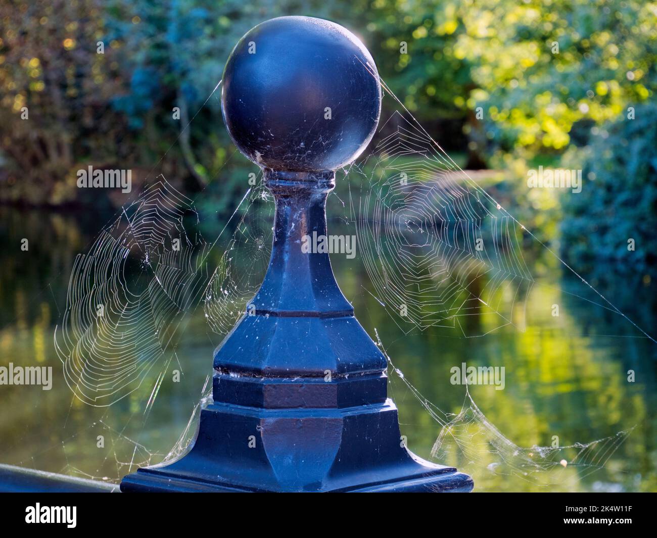 I spotted these beautiful spider webs by St Helen's Wharf, Abingdon. It ...