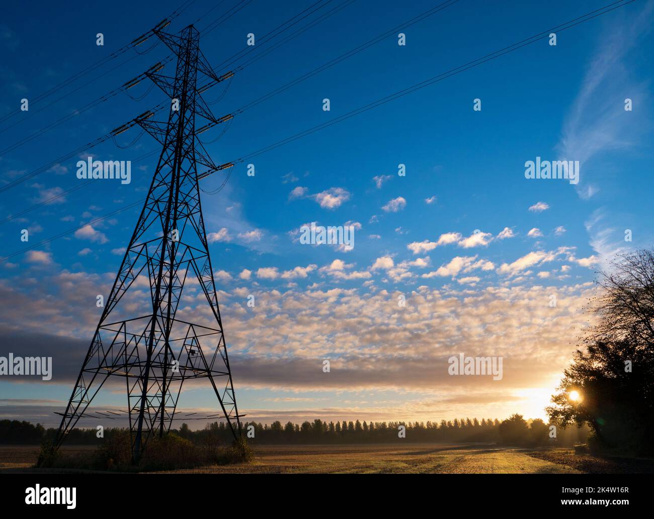 I love electricity pylons; I find their abstract, gaunt shapes ...