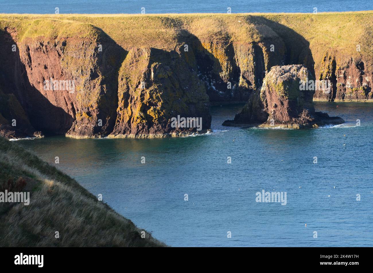 Sea cliffs along the coastal path for Dunottar Castle, Stonehaven ...