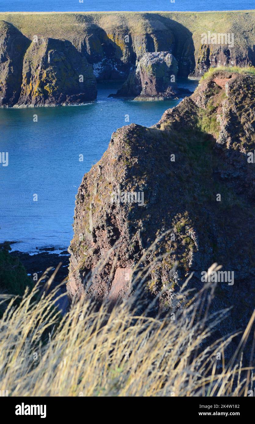 Sea cliffs along the coastal path for Dunottar Castle, Stonehaven ...