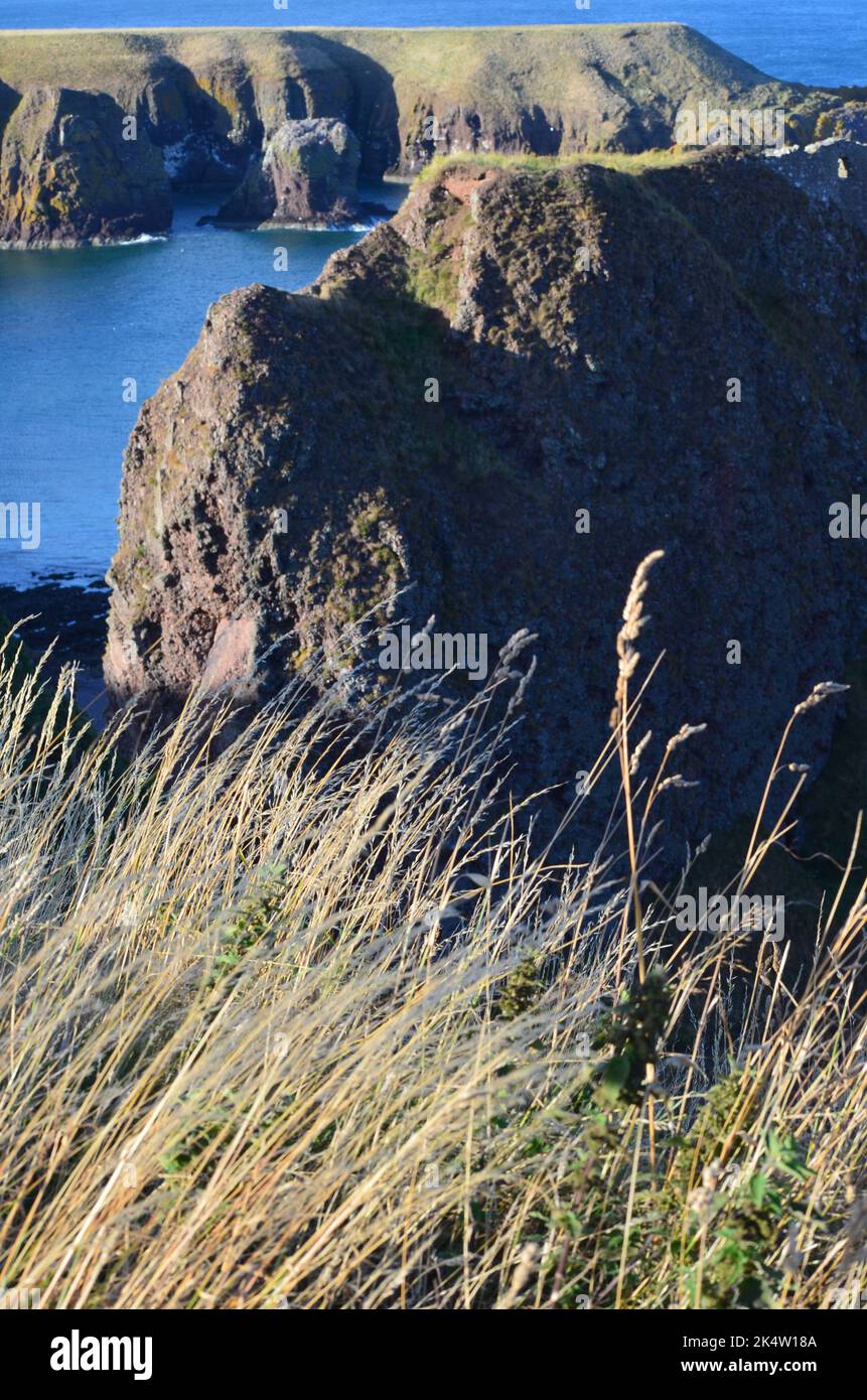 Sea cliffs along the coastal path for Dunottar Castle, Stonehaven ...