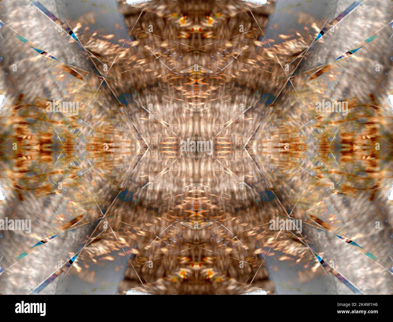 This strange abstract light show actually started with morning sun ...