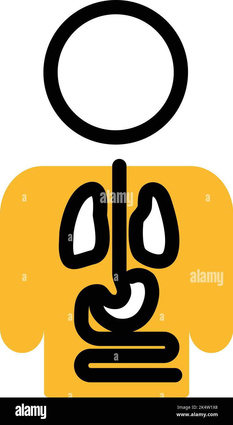 Internal medicine doctor, illustration, vector on a white background ...