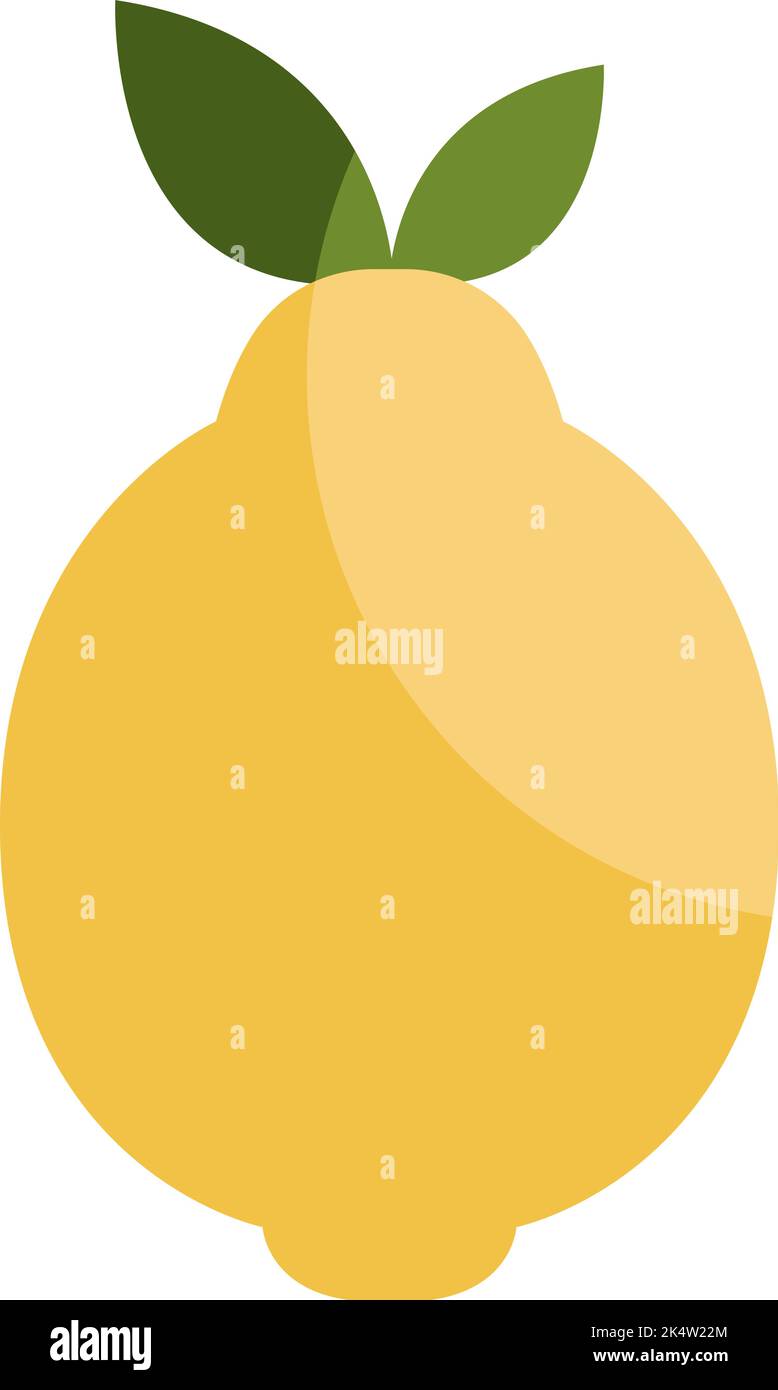 Illustration whole slice lemon Stock Vector Images - Alamy