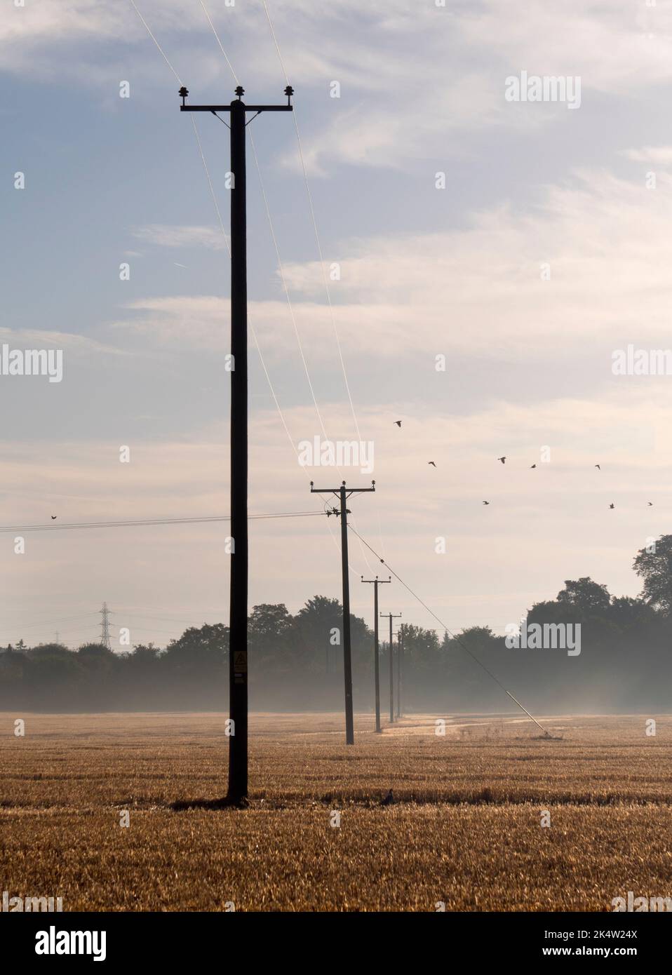 Uk early telephone poles hi-res stock photography and images - Alamy