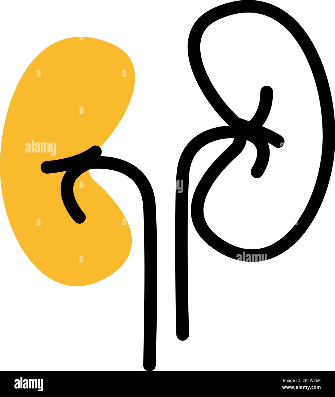 Kidney doctor, illustration, vector on a white background Stock Vector ...