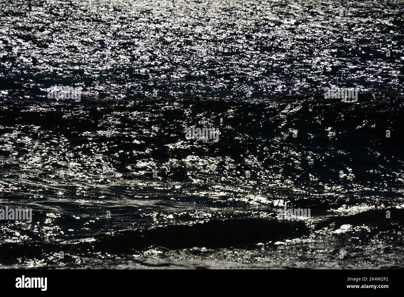 people swimming in atlantic ocean nantucket martha vineyard island ...