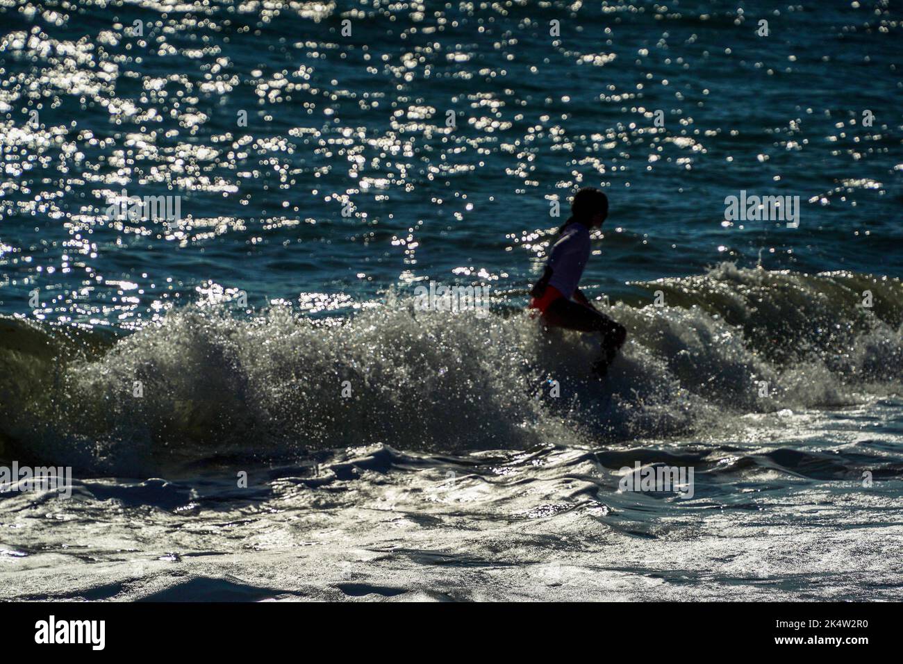 people swimming in atlantic ocean nantucket martha vineyard island ...
