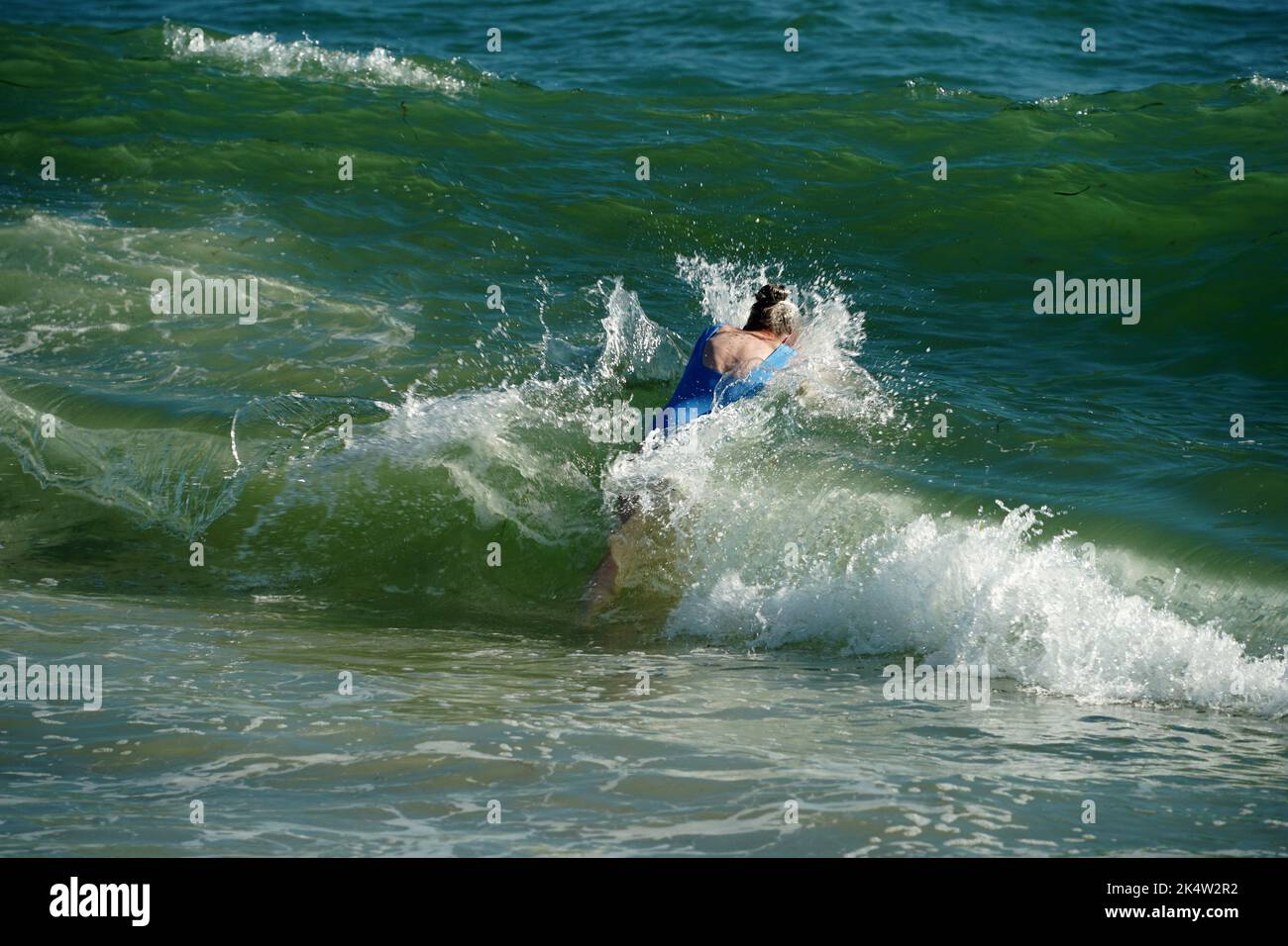 people swimming in atlantic ocean nantucket martha vineyard island ...