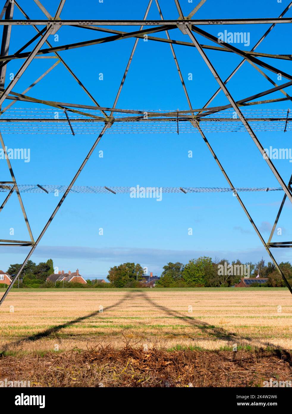 I love electricity pylons; I find their abstract, gaunt shapes ...