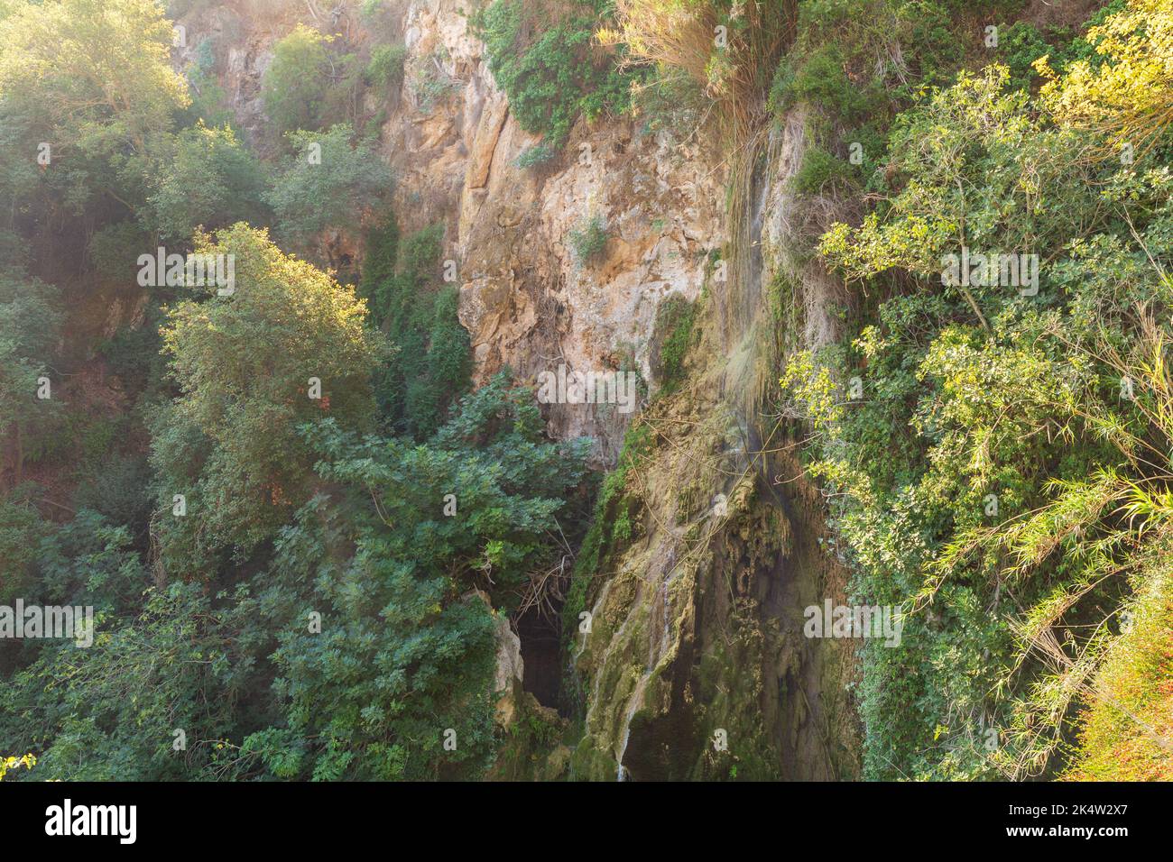 Arial view of a waterfall in a tropical forest Stock Photo - Alamy