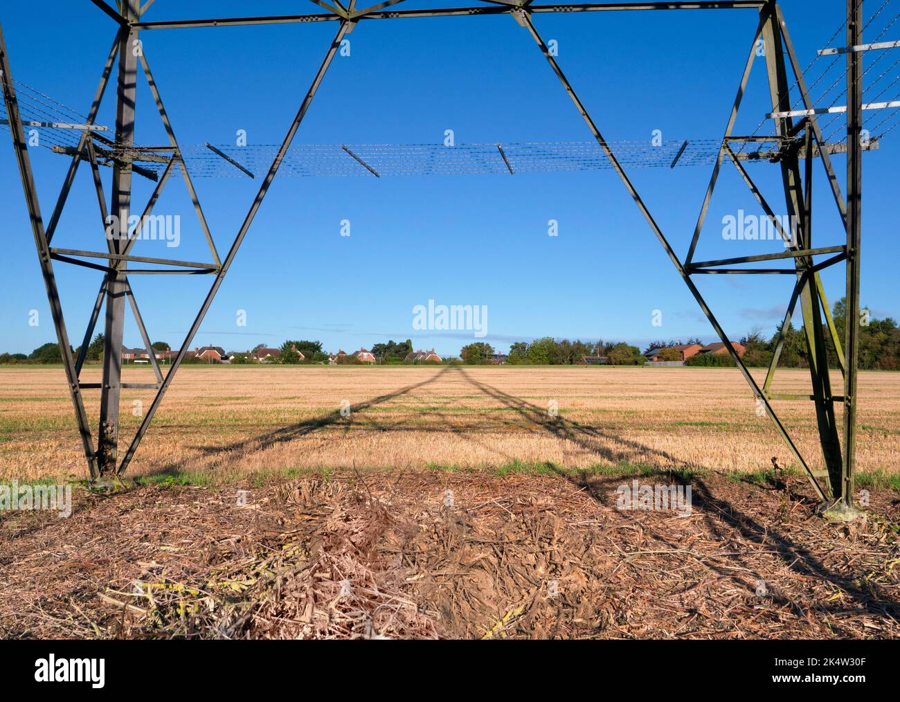 I love electricity pylons; I find their abstract, gaunt shapes ...