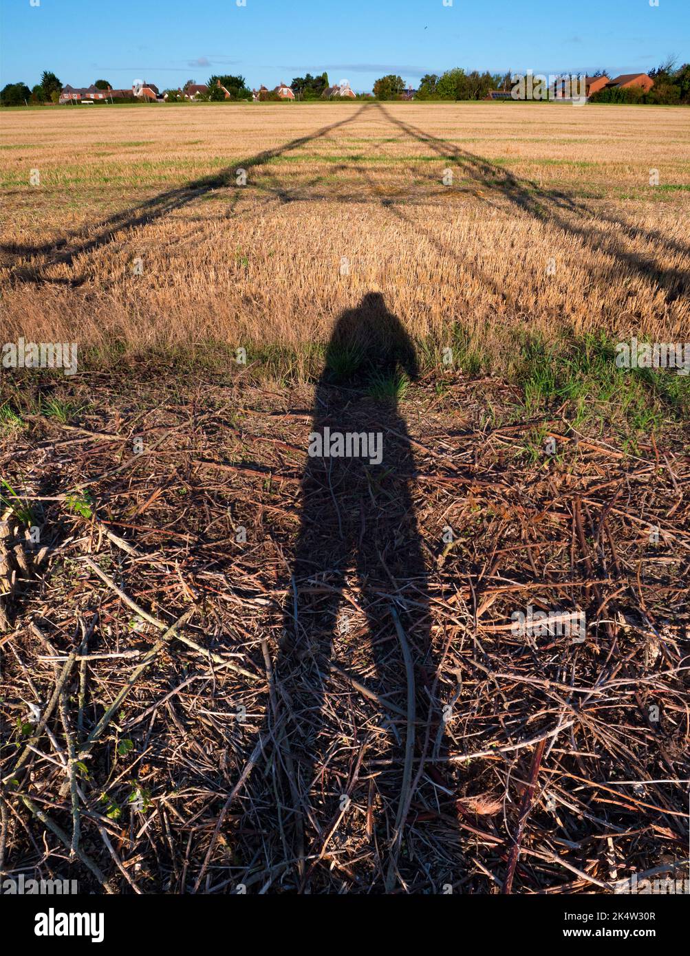 I love electricity pylons; I find their abstract, gaunt shapes ...