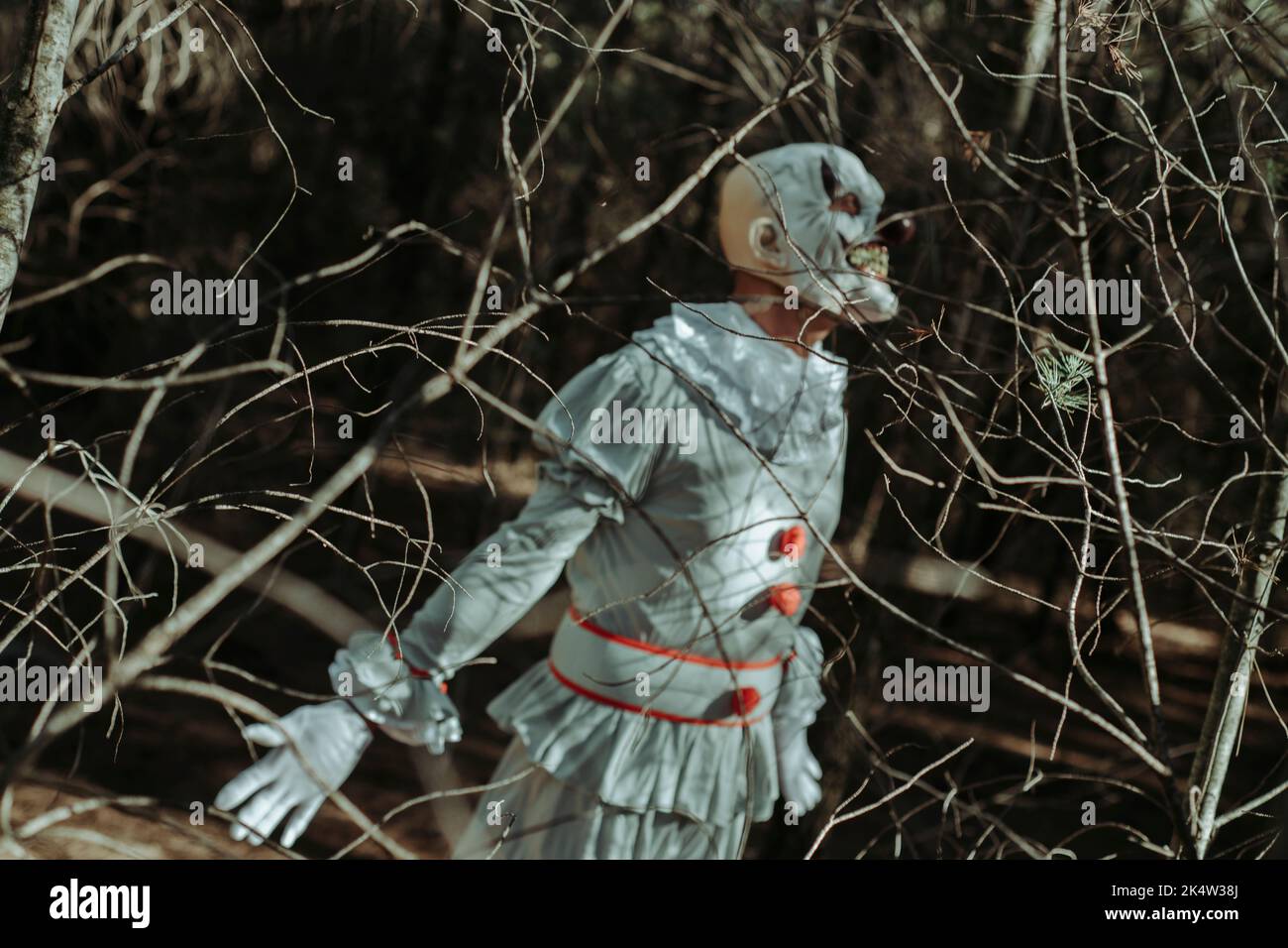 closeup of a scary evil clown, wearing a gray costume with a white ruff ...