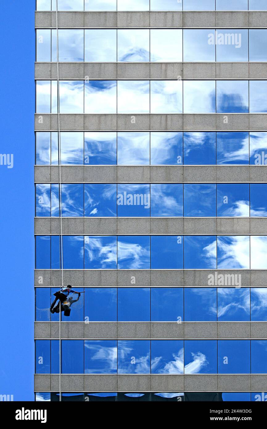 A vertical shot of a window washer cleaning high-rise building windows ...