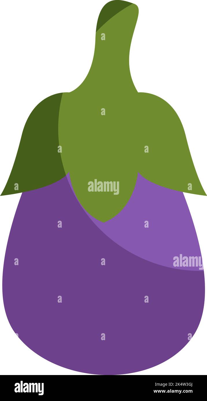Purple eggplant, illustration, vector on a white background Stock ...