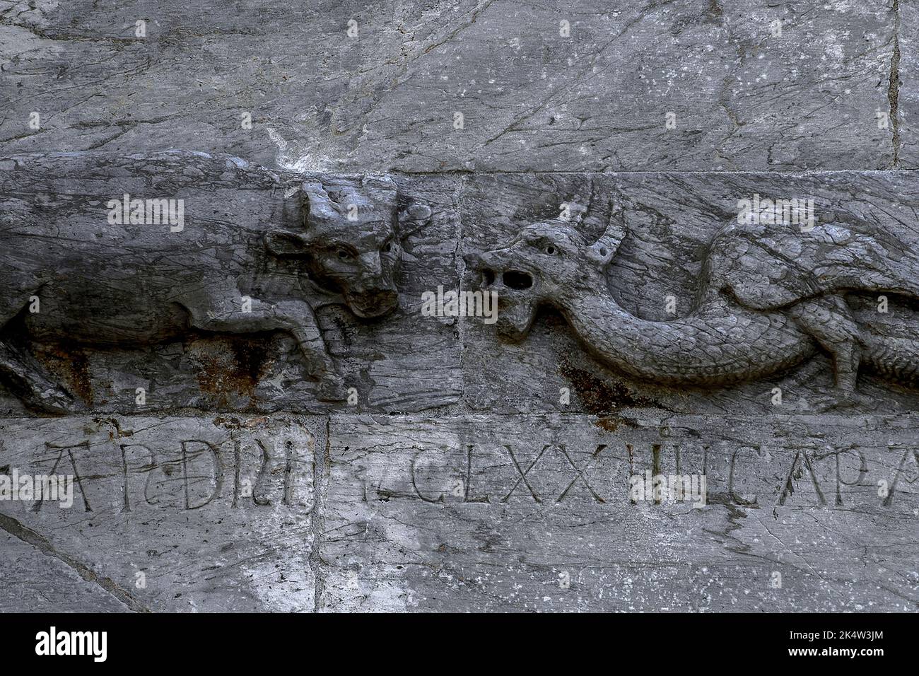Bull facing horned dragon hi-res stock photography and images - Alamy