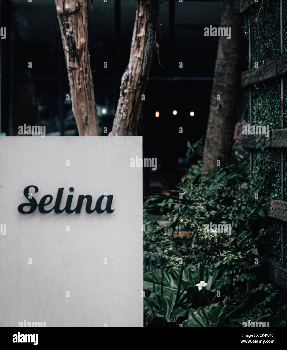 A vertical shot of "Selina" word written on a white wall outdoors in ...
