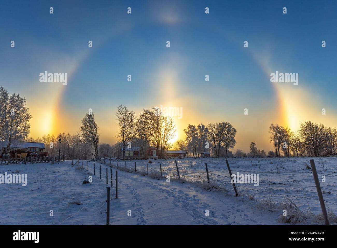 Sun halo with sun dogs in a wintry countryside Stock Photo - Alamy