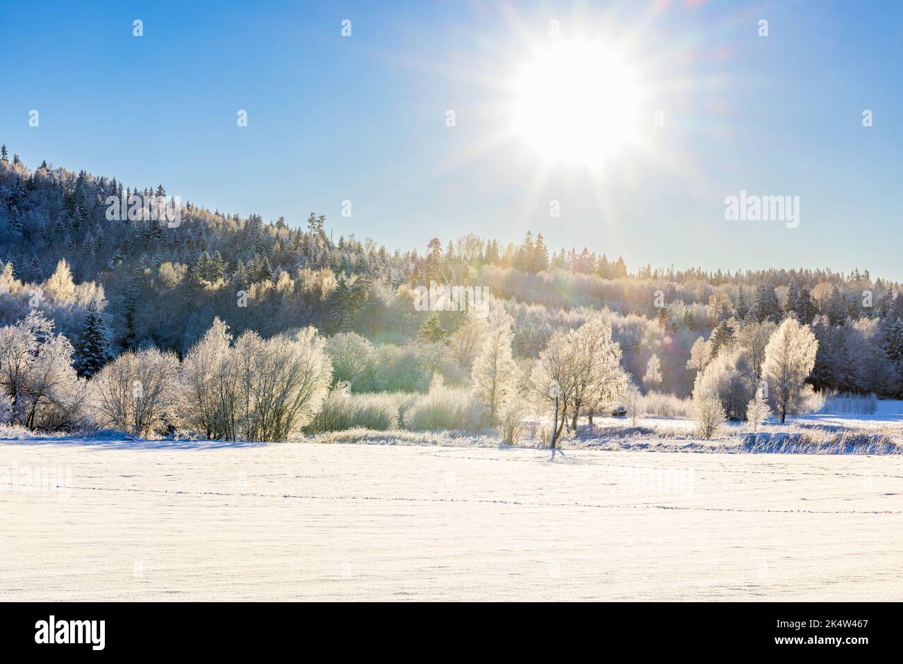 Frosty landscape view with sunshine a cold winter day Stock Photo - Alamy