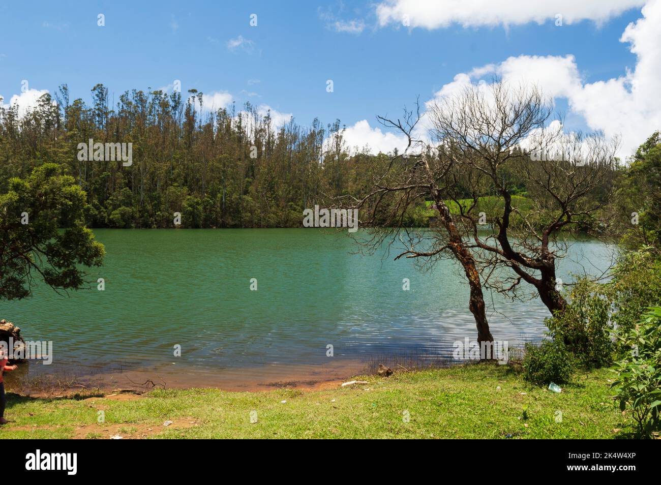 Scenic Ooty Lake, blue and white sky, reflection visible in water ...
