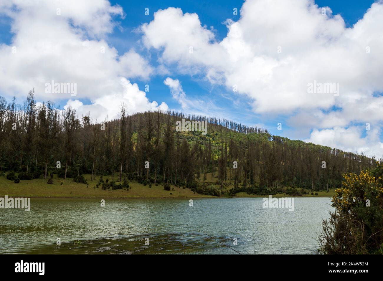 Scenic Ooty Lake, blue and white sky, reflection visible in water ...