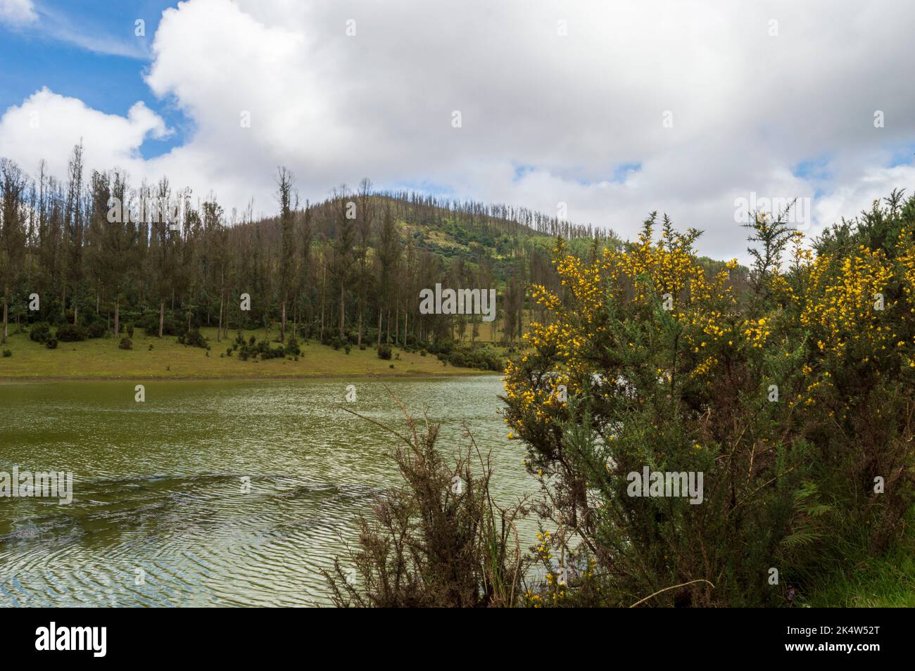 Scenic Ooty Lake, blue and white sky, reflection visible in water ...
