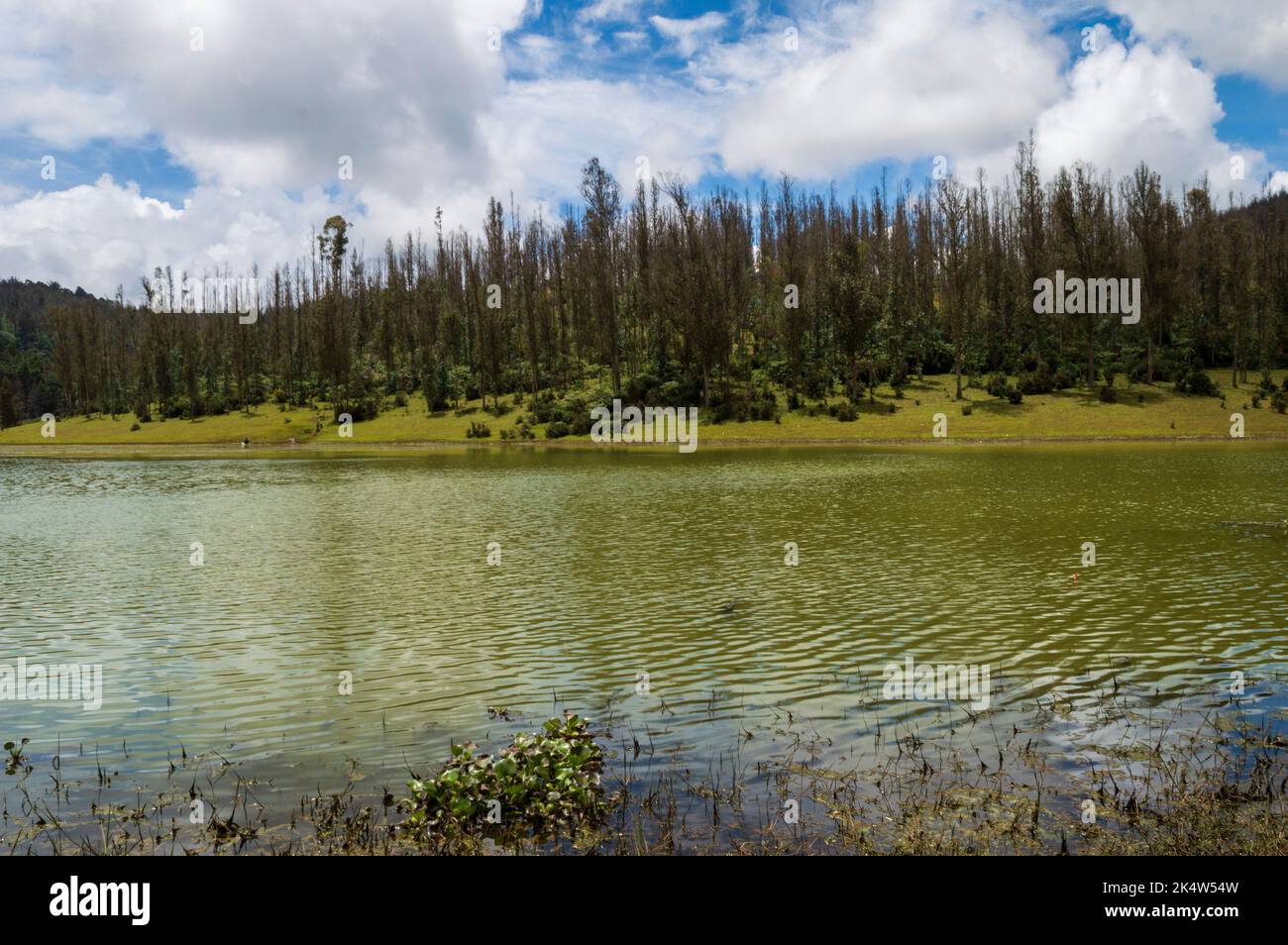 Beautiful Ooty lake with its scenic beauty against blue sky forming a ...