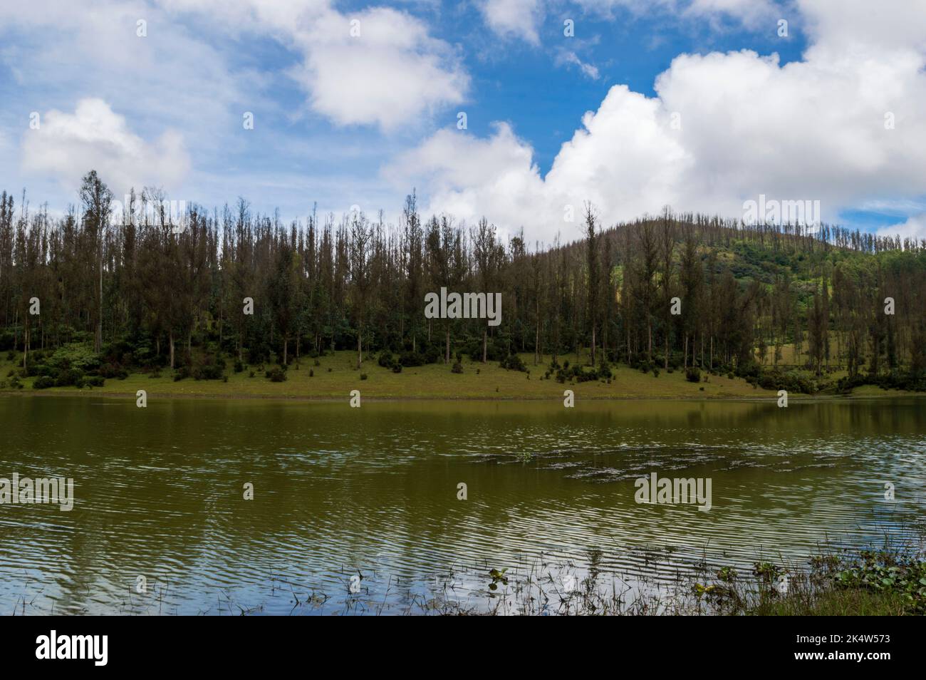 Beautiful Ooty lake with its scenic beauty against blue sky forming a ...
