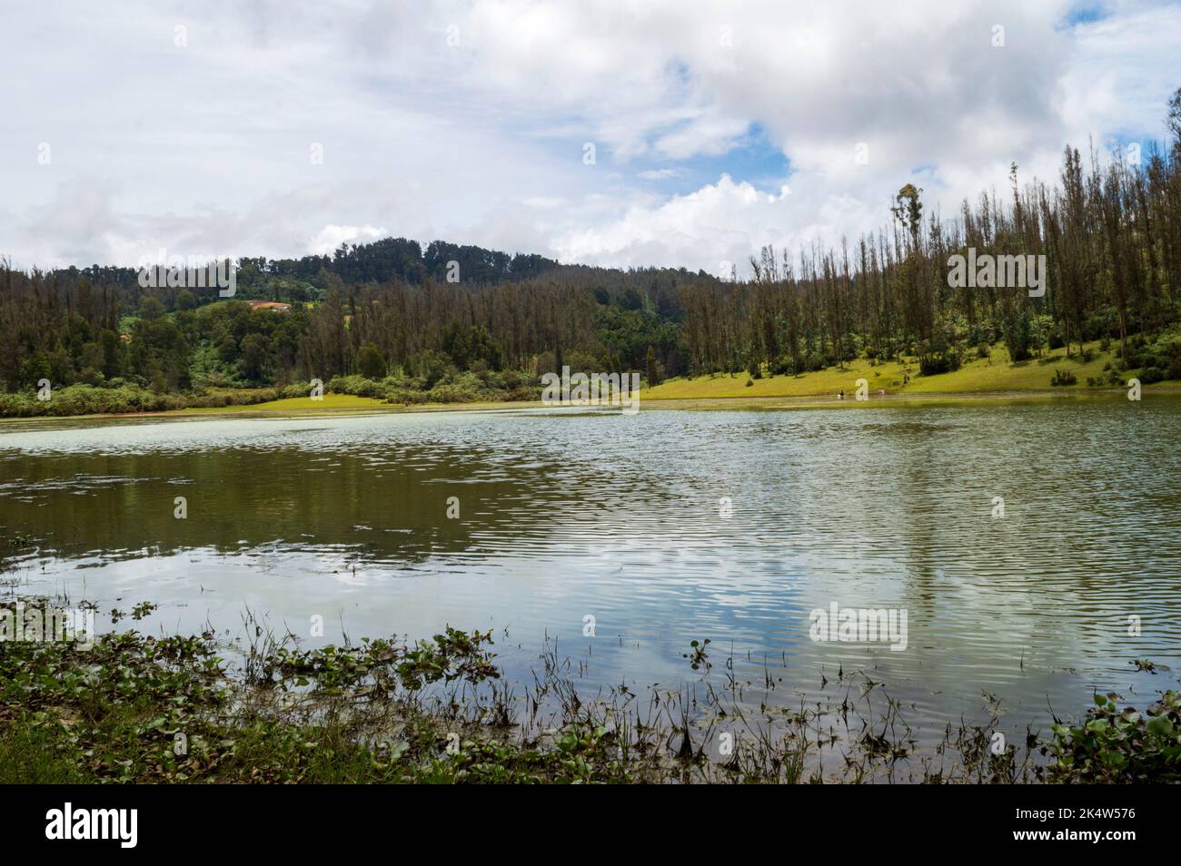 Beautiful Ooty lake with its scenic beauty against blue sky forming a ...
