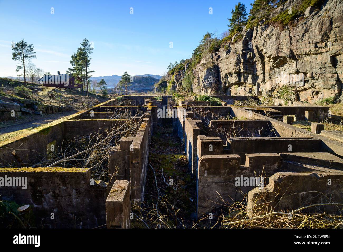 A ruined structure with mossy walls and broken tree branches on a sunny ...