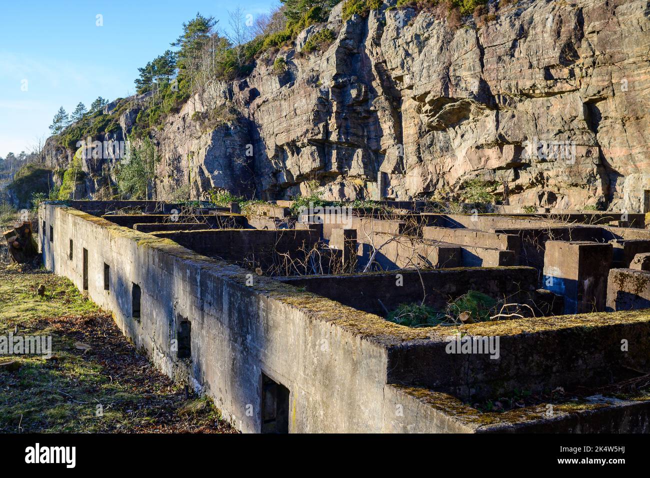 A ruined structure with mossy walls and broken tree branches on a sunny ...