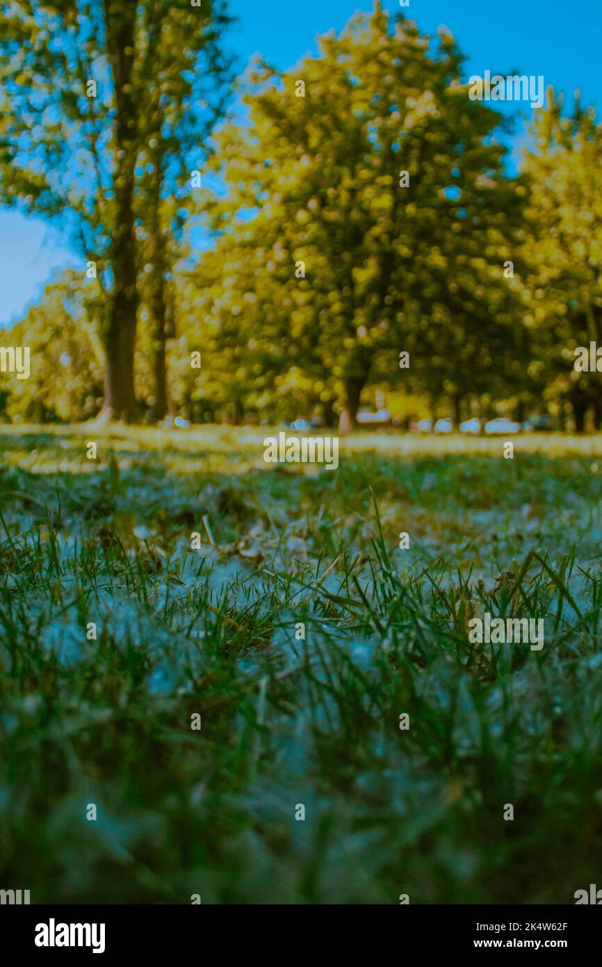 Izvor street hi-res stock photography and images - Alamy