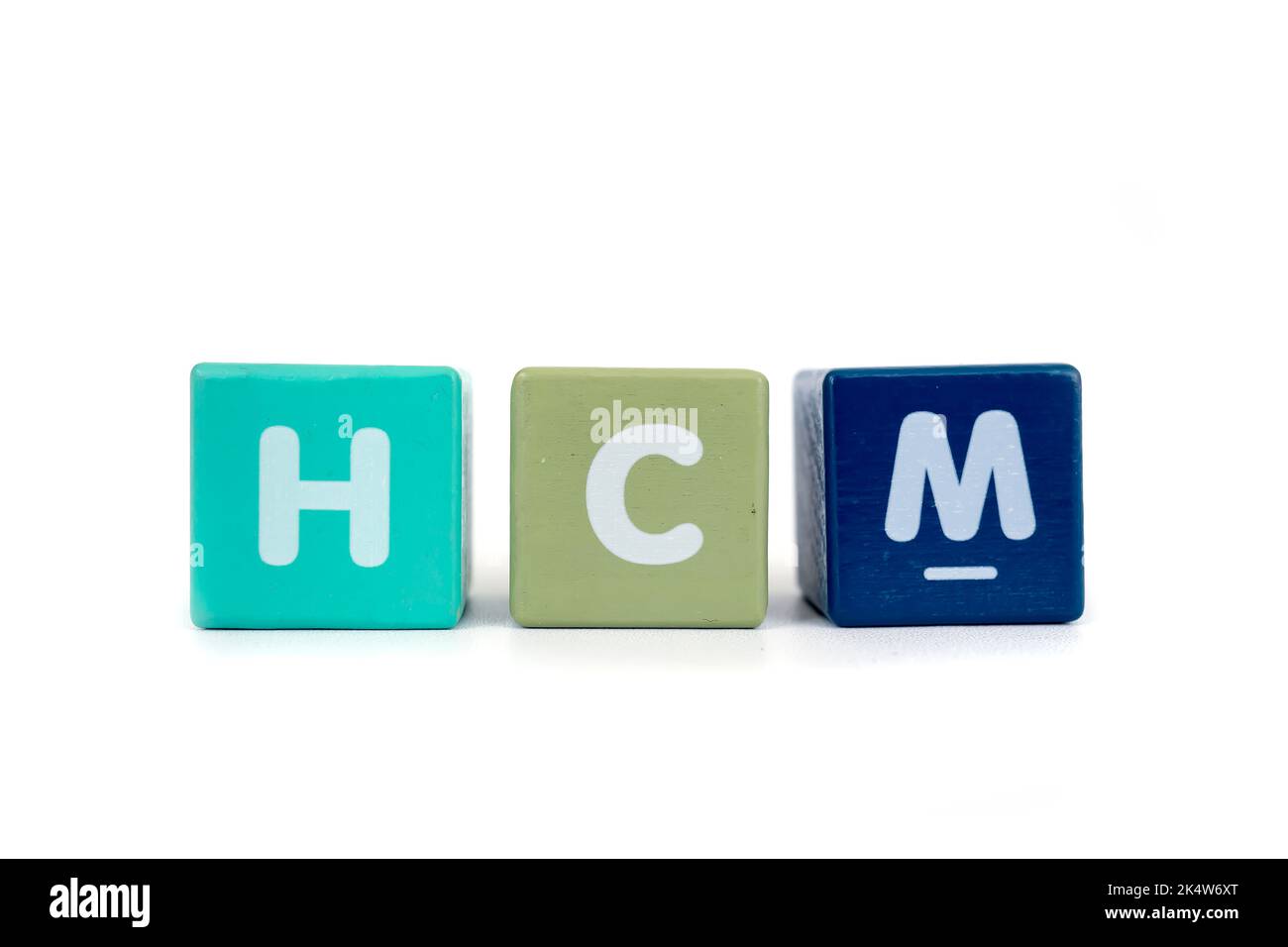 Human Capital Management HCM is a concept of human resource management ...