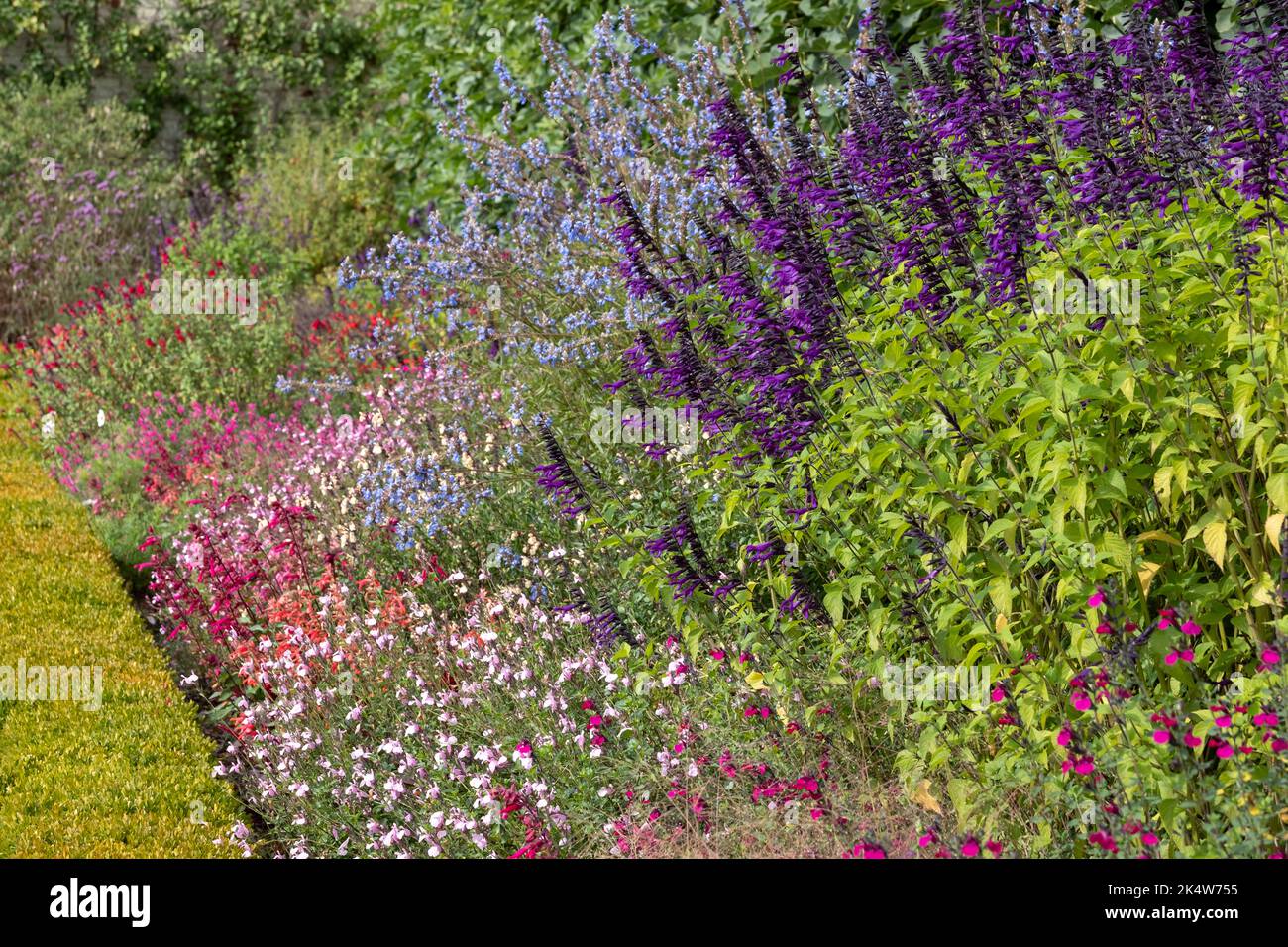 Overflowing flower bed hi-res stock photography and images - Alamy
