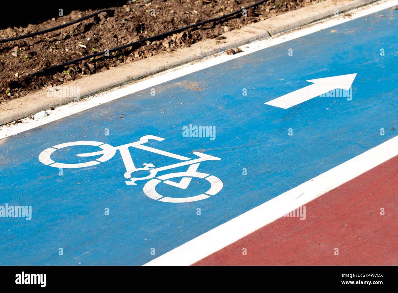 Cycling path. Blue painted bike path in the park area Stock Photo - Alamy
